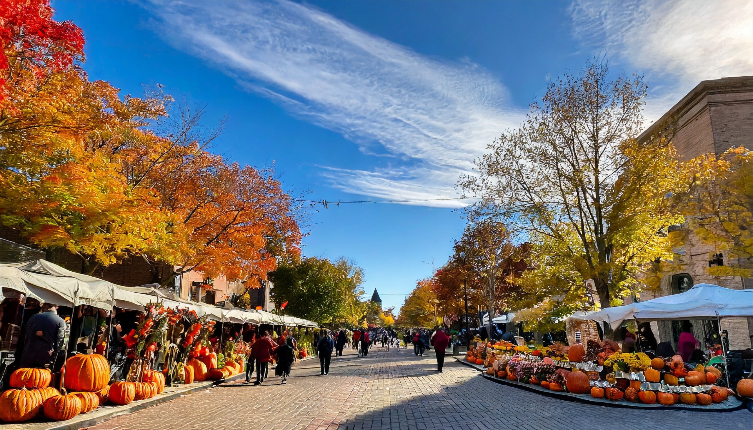 Celebrate Thanksgiving with Style: Showcase Your Stories with NextGen ...